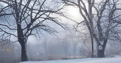 31 Winter Sun Quotes That Capture Every Winter Mood | Filling the Jars
